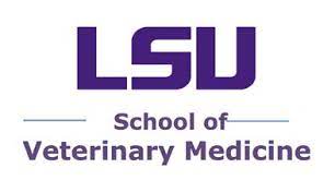 WHERE CAN I FIND DIRECT LINKS TO VETERINARY SCHOOL WEBSITES? - Vet ...
