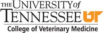 WHERE CAN I FIND DIRECT LINKS TO VETERINARY SCHOOL WEBSITES? - Vet ...